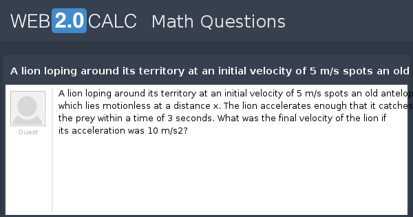 View question - A lion loping around its territory at an initial ...